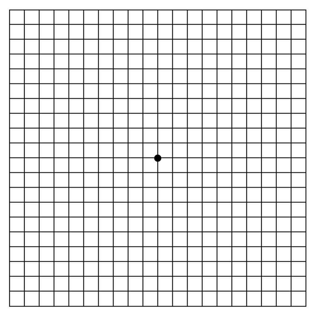 Monitoring Your Vision: How the Amsler Grid Vision Test Gives Insights ...